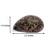 Big Vishnu Kaudi / Cowry Shell set of 2 @ Om Pooja Shop