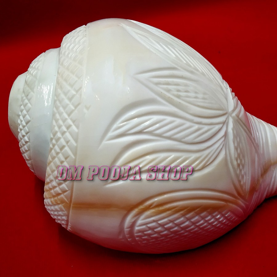 Lotus Flower Carving Natural Bajanewala Shankha Get online in USA UK