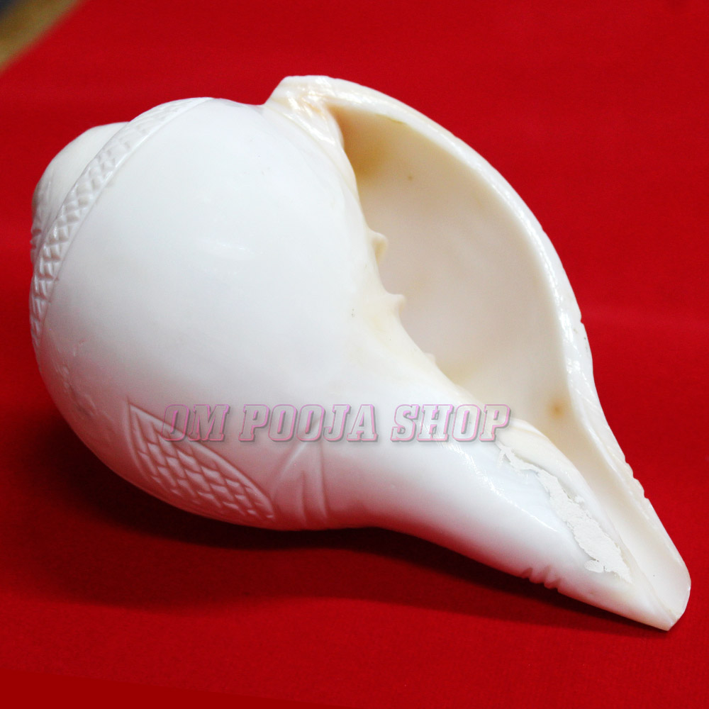 Sunrise Carving Natural Blowing Shankha @ online in USA UK