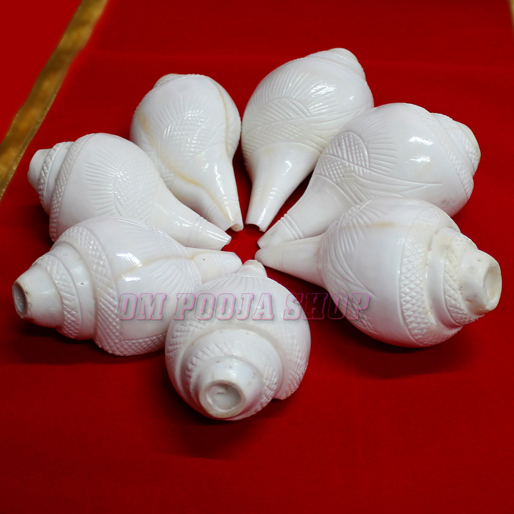 Sunrise Carving Natural Blowing Shankha @ online in USA UK