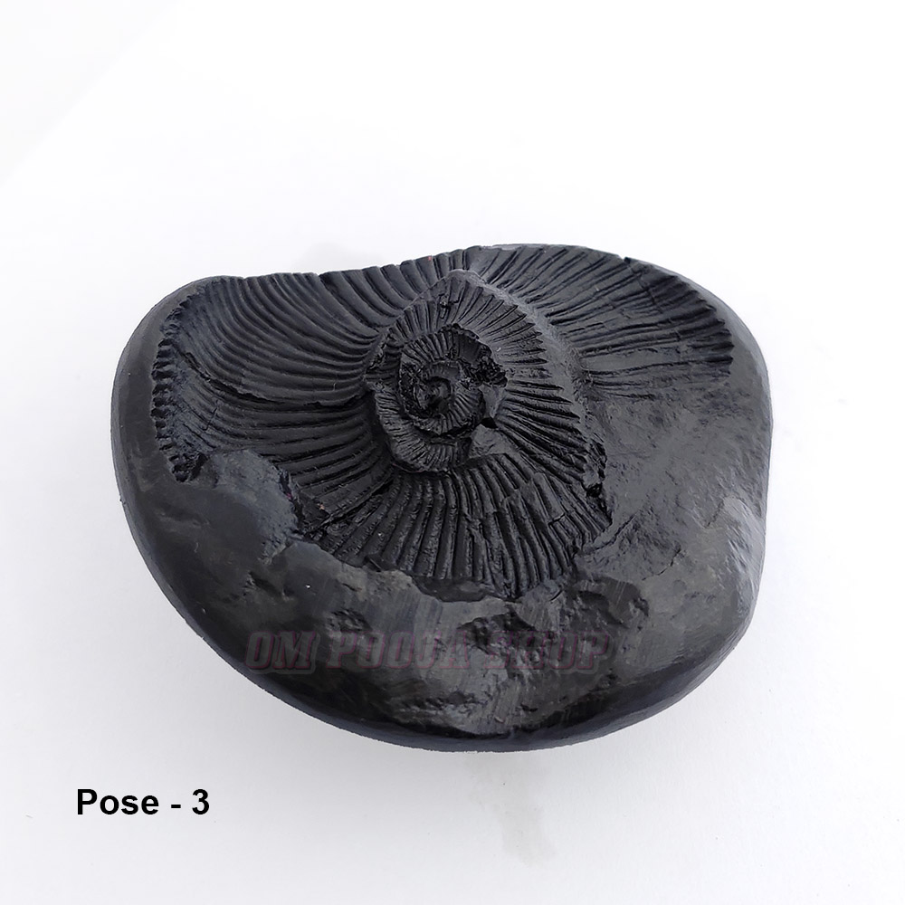Buy Krishna Original Shaligram Stone